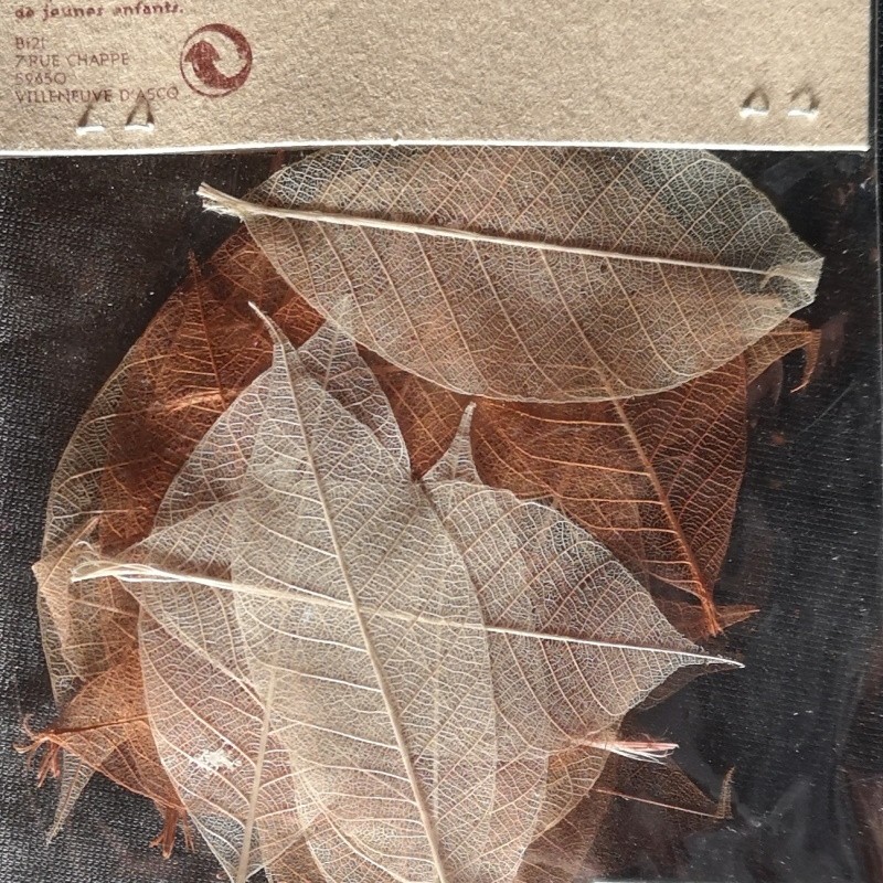 Univers du Scratch booking